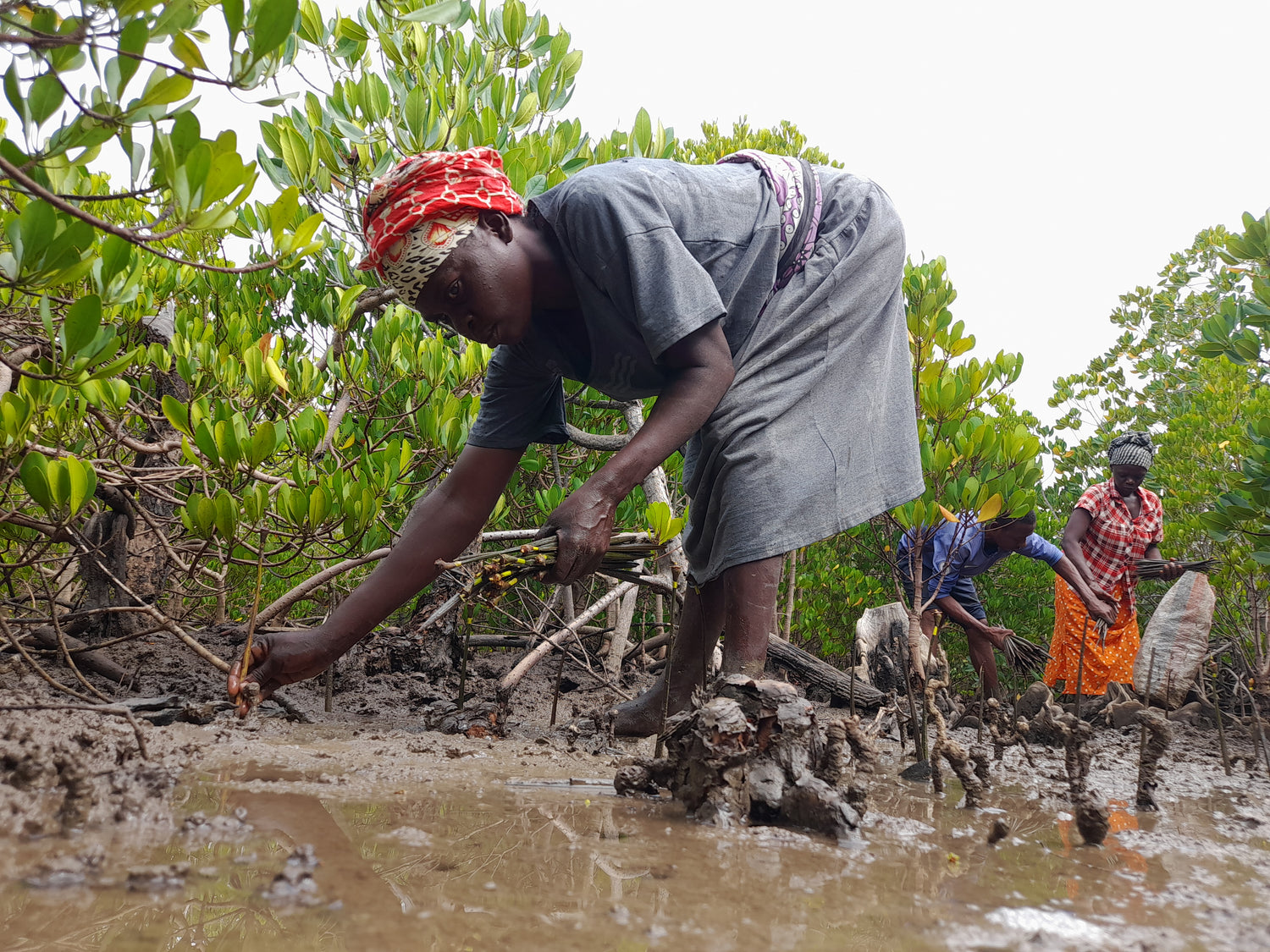 NIKIN: Nachhaltige Mode 🌲 Together for Nature. Tree by Tree. – NIKIN CH